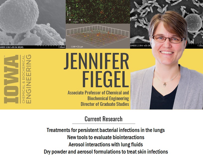 Biological & Pharmaceutical | College of Engineering - The University ...