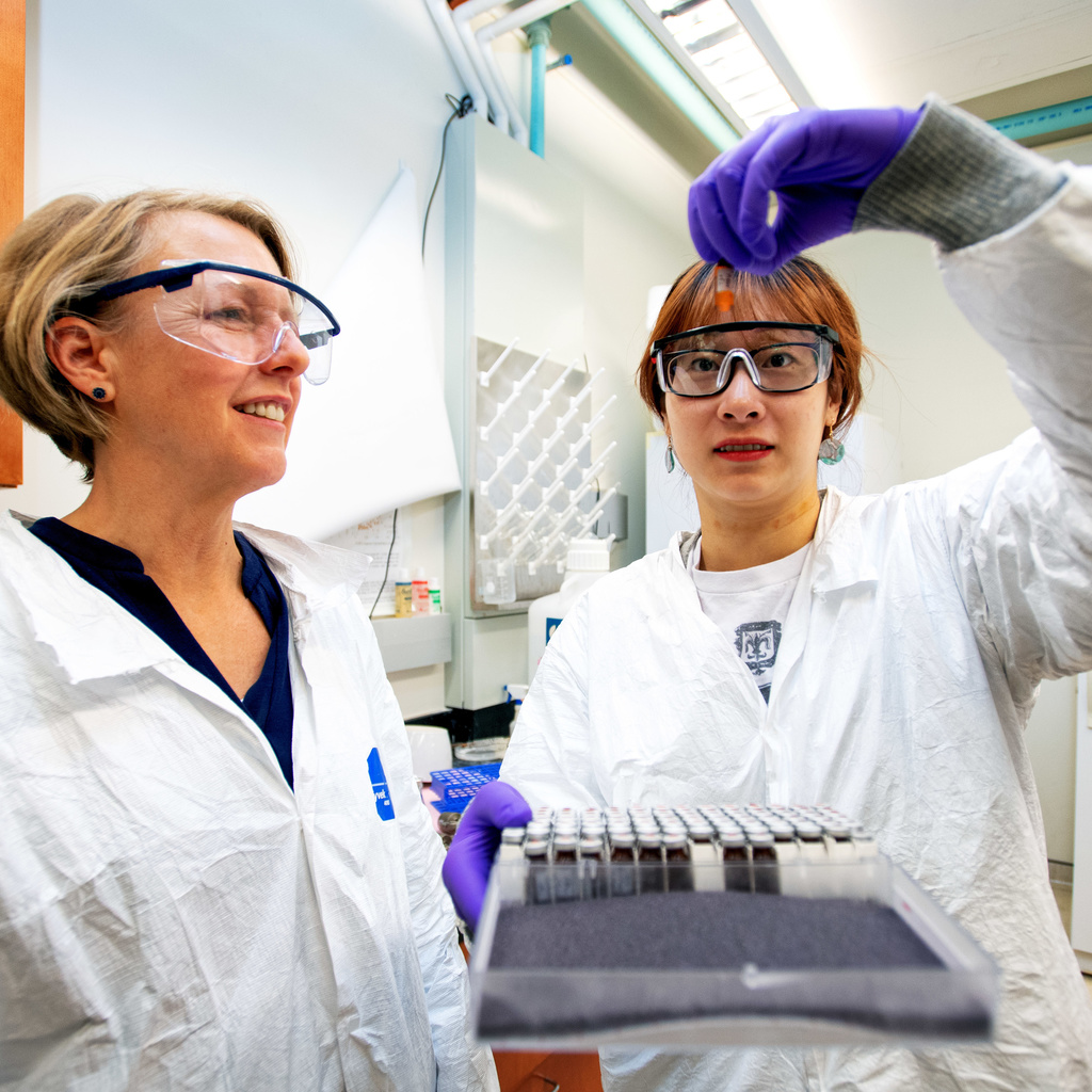 Prospective CEE Students | College of Engineering - The University of Iowa