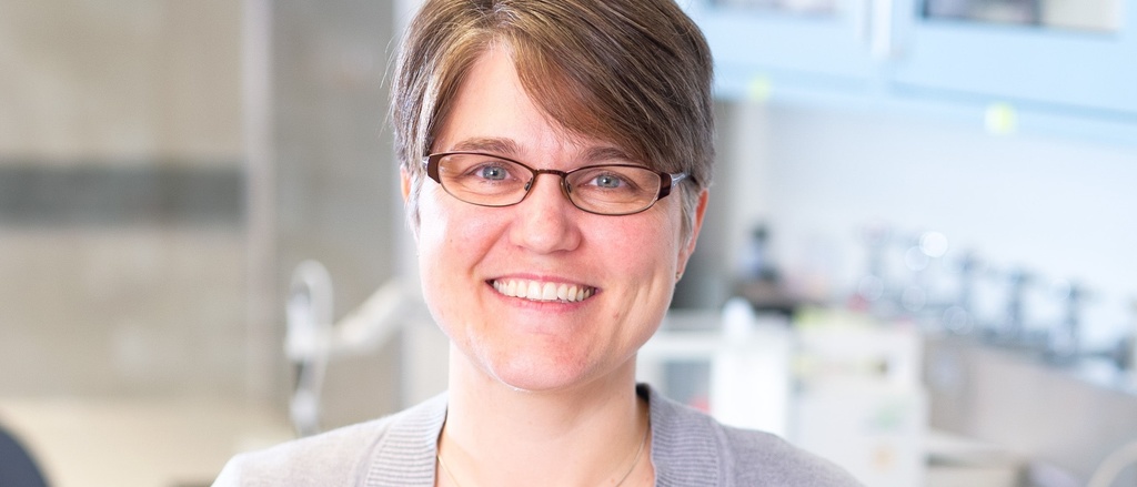 Fiegel awarded NSF grant for research on targeting drug carriers to ...