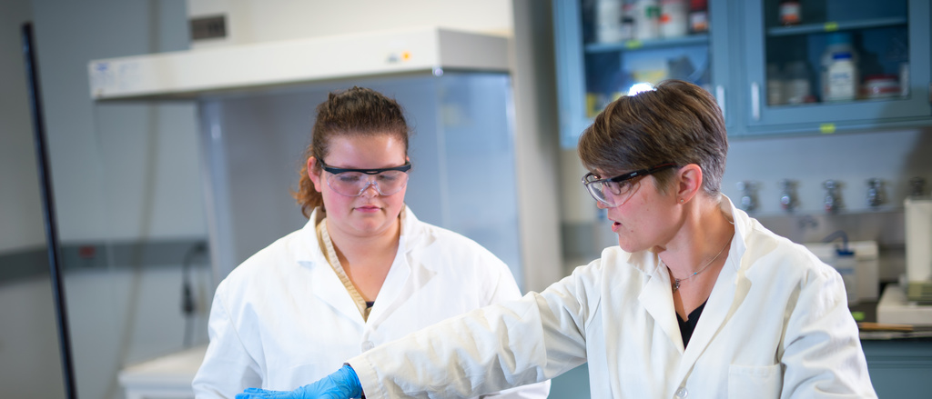 Fiegel Lab finding promise in hydrogel spray to treat burn wounds ...