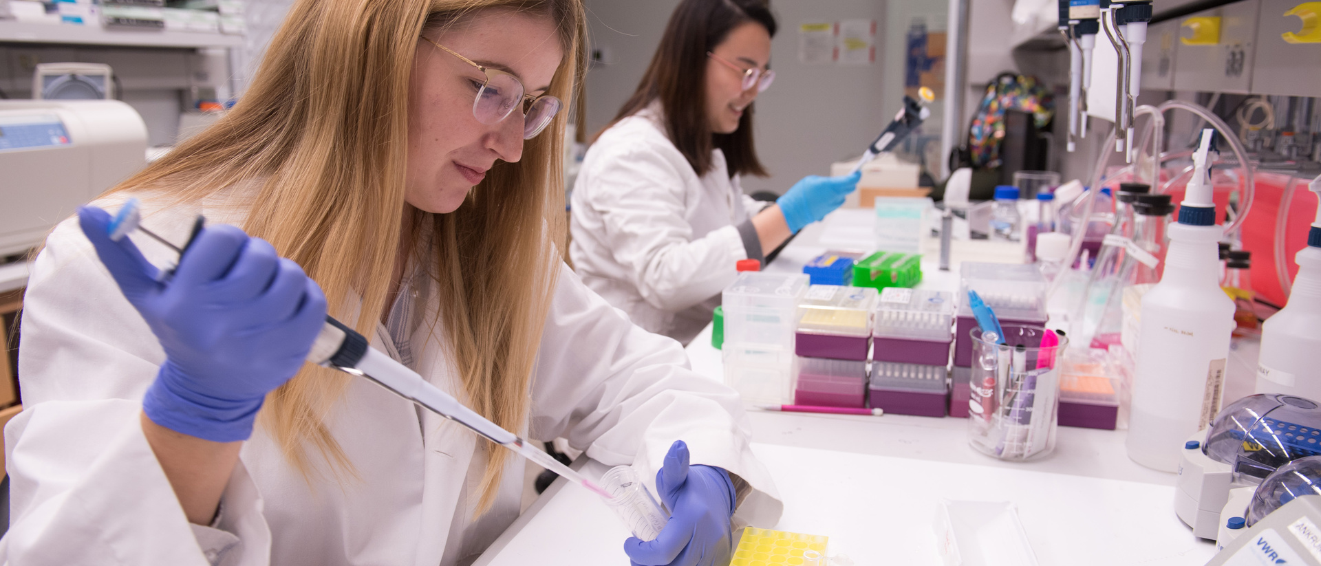 BME:3995 Undergraduate Research in Biomedical Engineering | College of ...