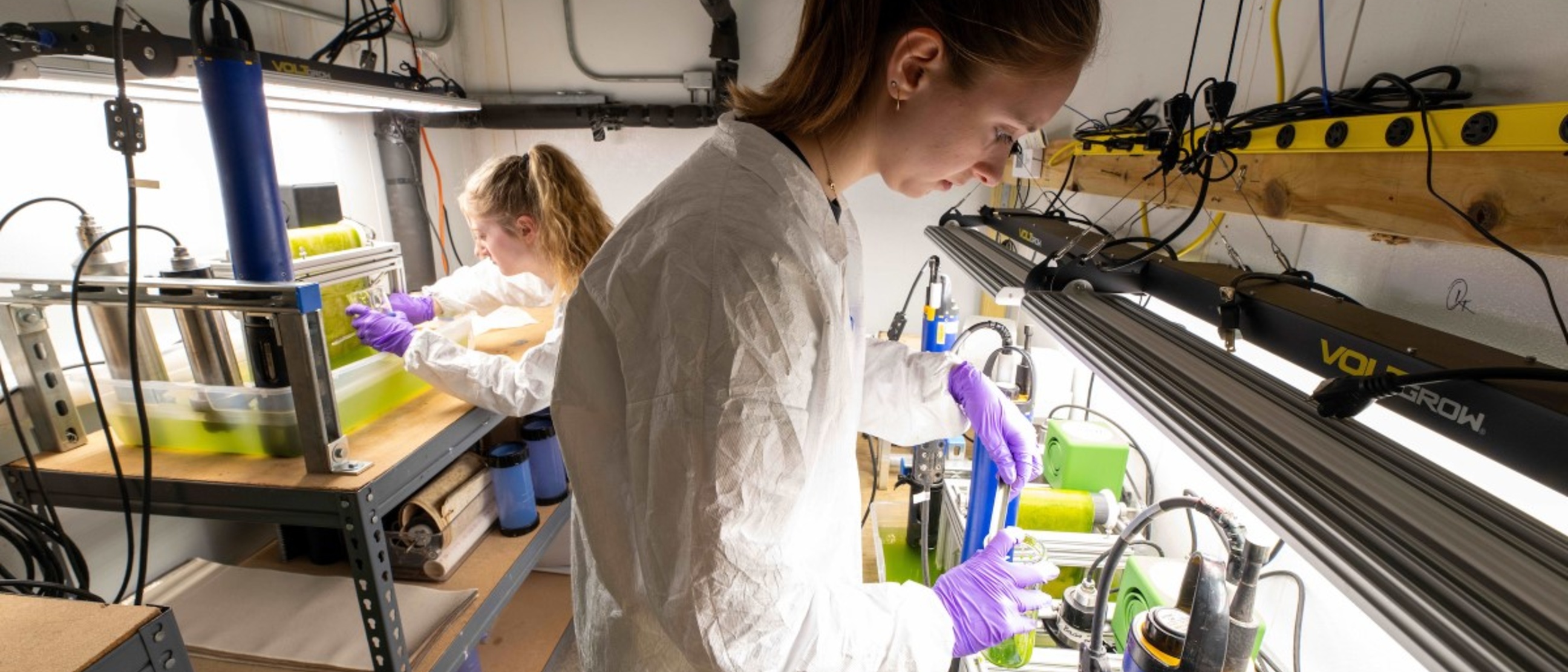 U2G (BS/MS) Program CEE | College of Engineering - The University of Iowa